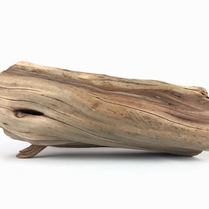 12 Manzanita Stump, Aquarium Wood Centerpiece, Reptile Wood, Paludarium ...