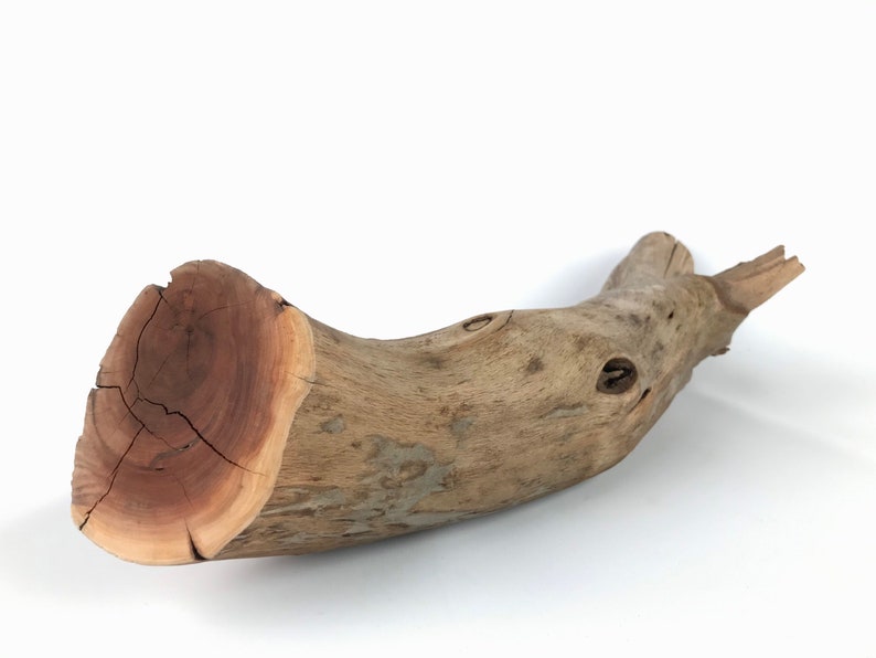 20 Manzanita Branch Reptile Wood Natural Fish Tank - Etsy