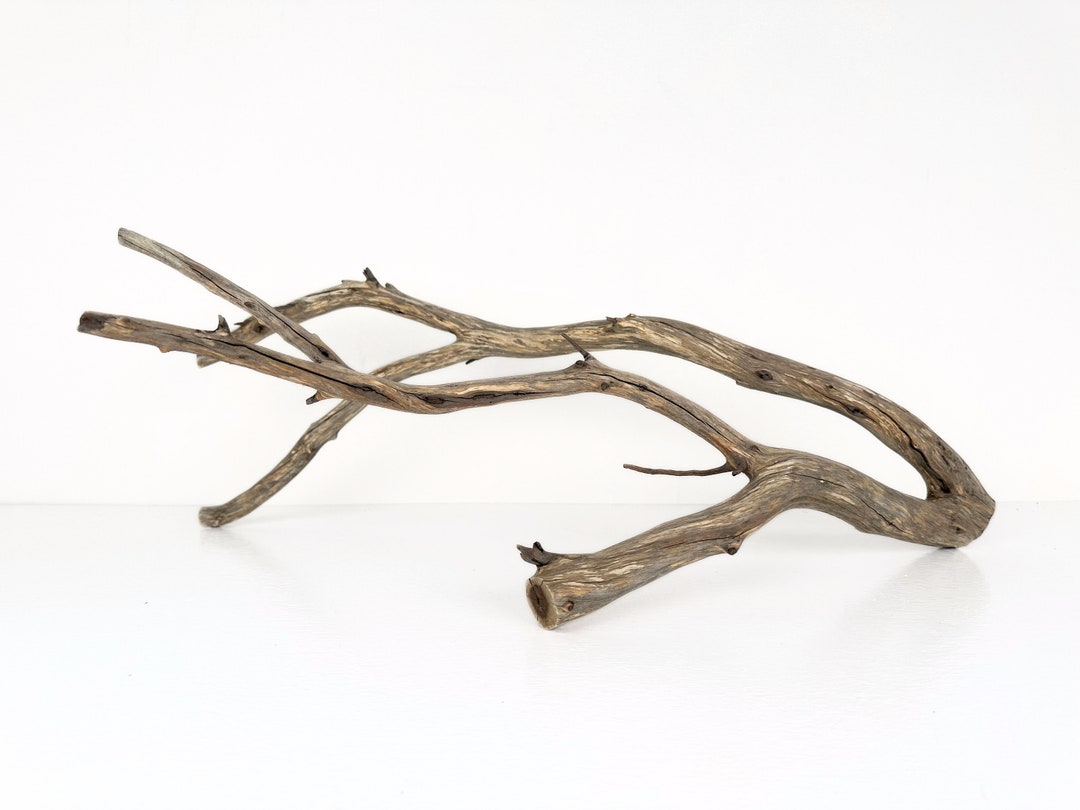 30 Manzanita Branch, Aquascape Centerpiece, Terrarium Branch, Vivarium ...