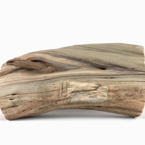 12 Manzanita Stump, Aquarium Wood Centerpiece, Reptile Wood, Paludarium ...