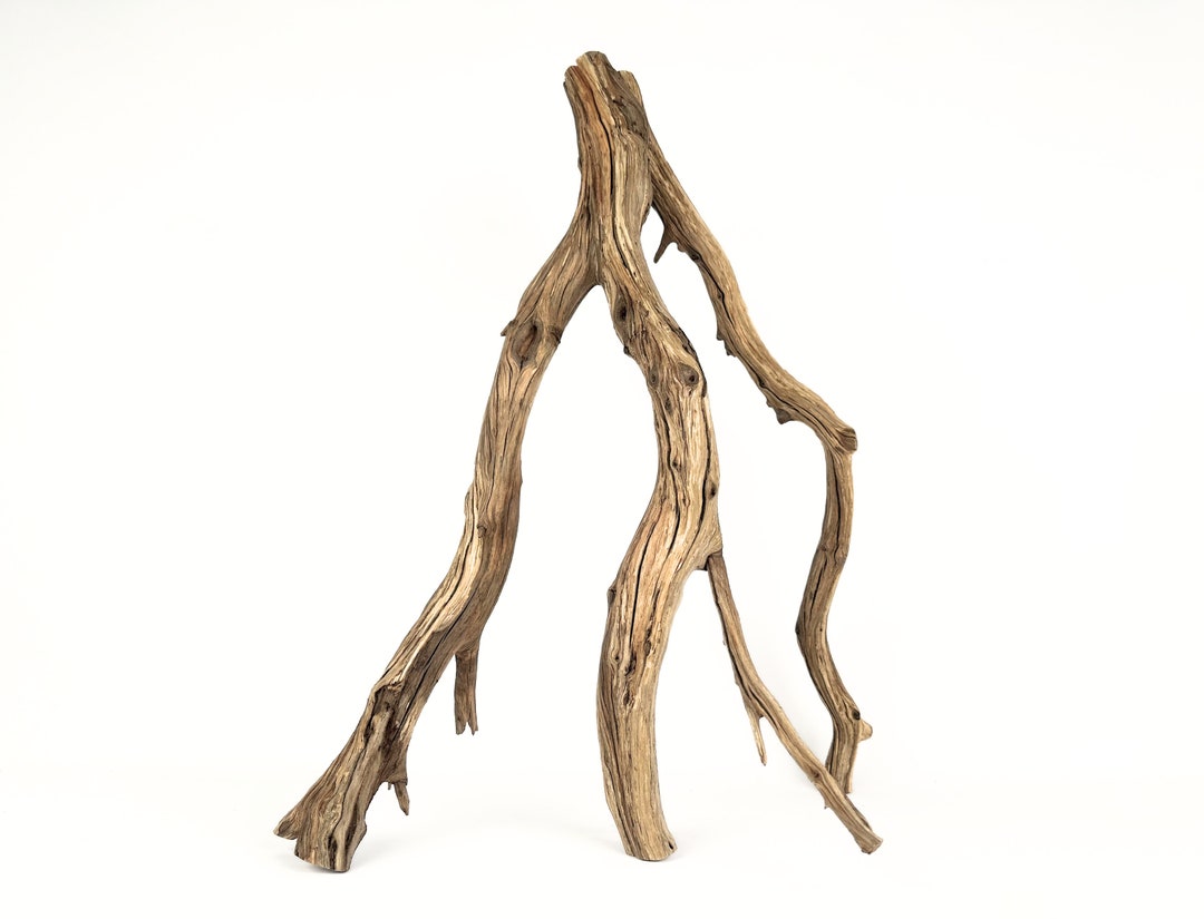 27 Manzanita Branch, Aquascape Centerpiece, Terrarium Branch, Vivarium ...