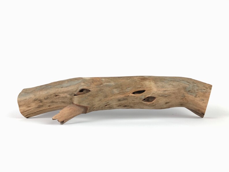 20 Manzanita Branch Reptile Wood Natural Fish Tank - Etsy