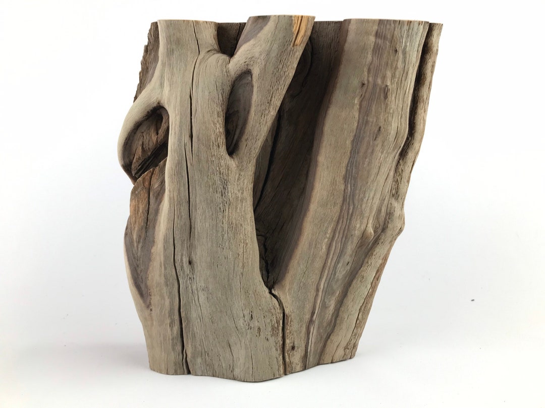 9-inch Live Vivarium Hardscape Manzanita Natural Aquarium Wood Design ...