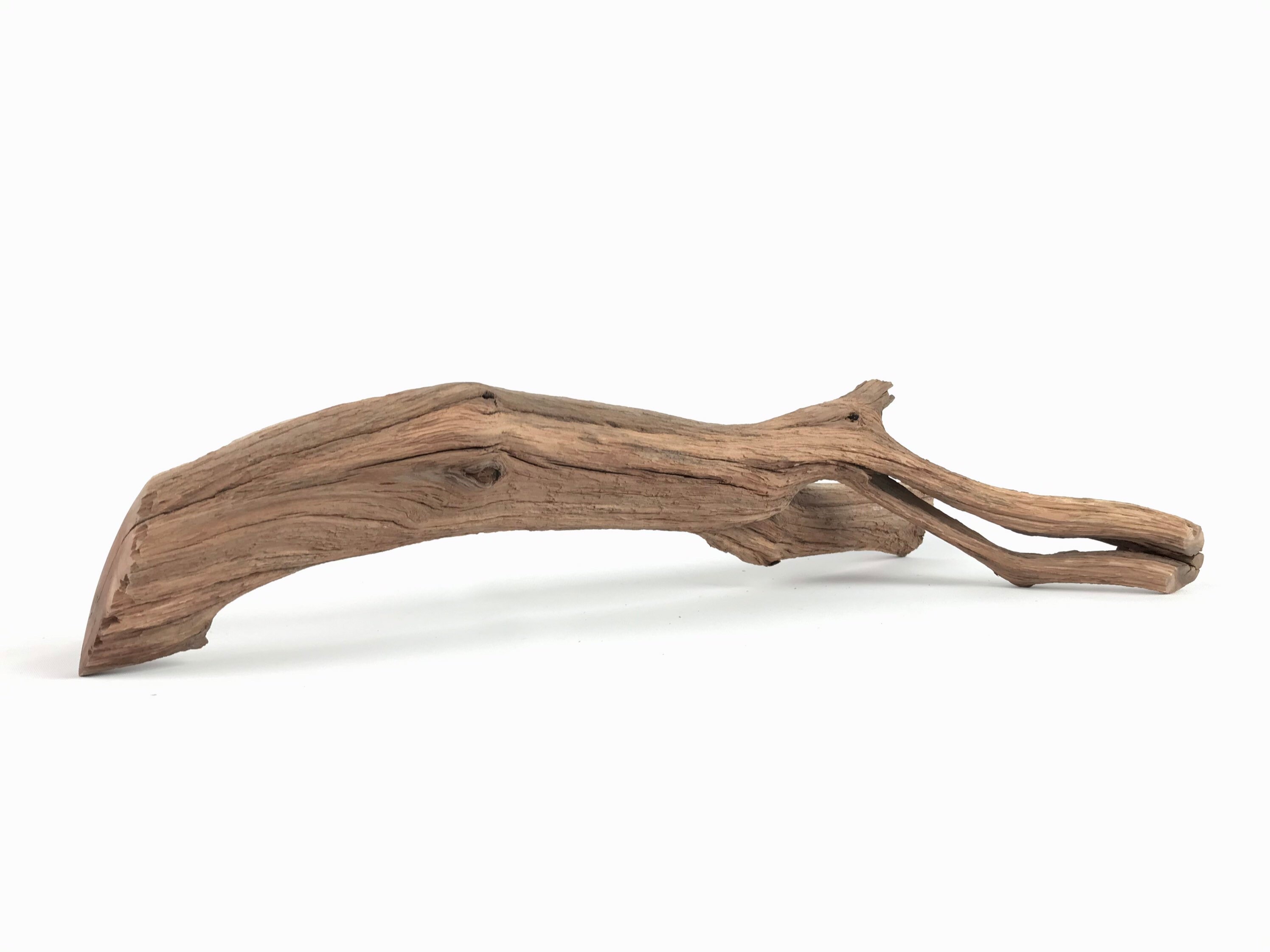 18 Manzanita Branch Reptile Wood Aquascape Wood Air - Etsy
