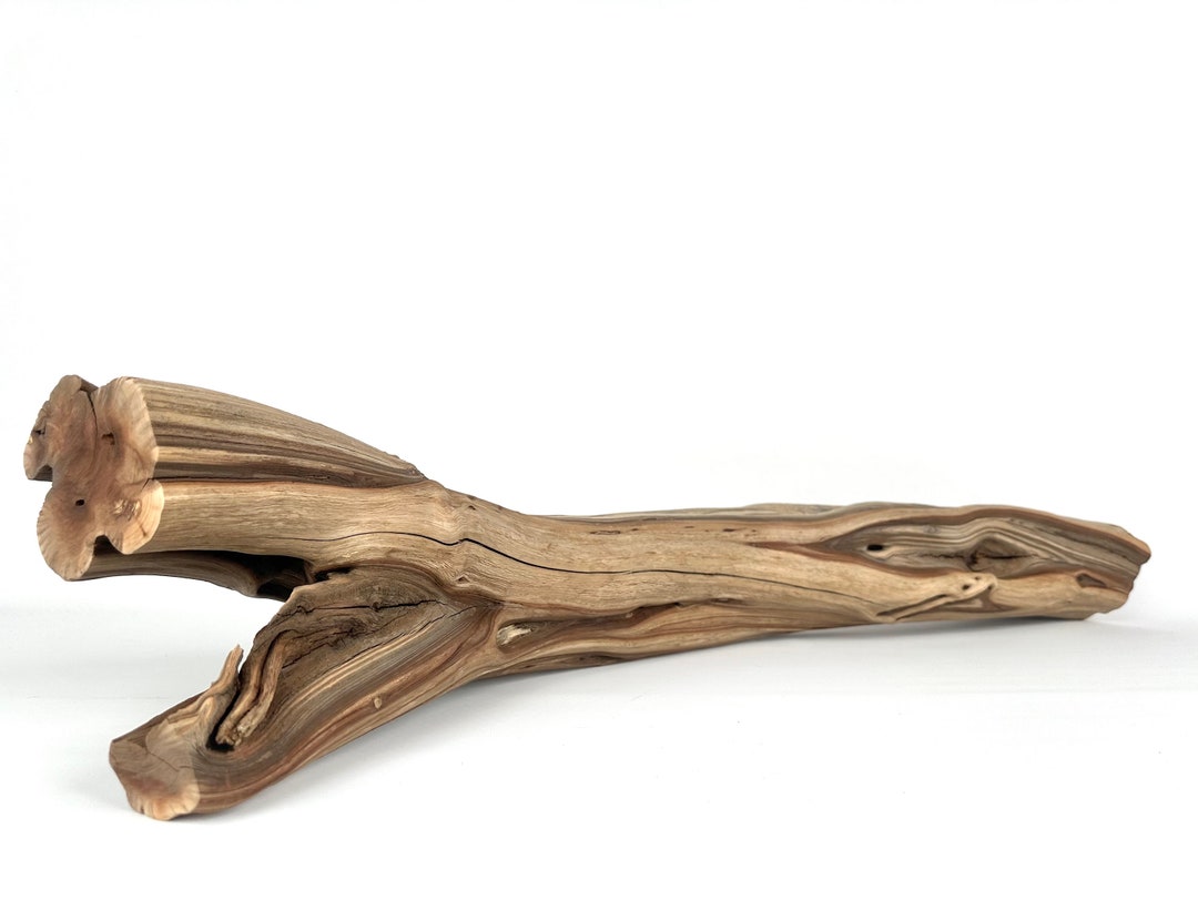 Rare Aquascape Centerpiece Wood Natural Reptile Wood Perch Decor Live ...