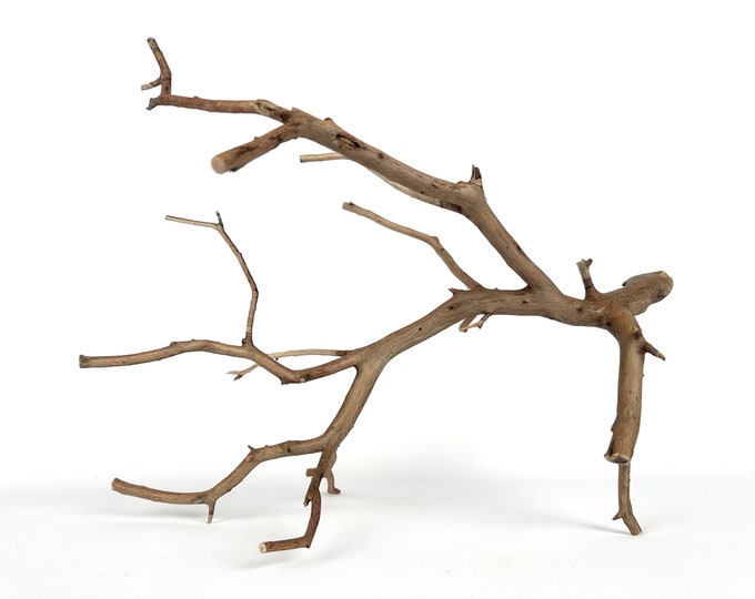 16" Manzanita Branch, Aquarium Wood Centerpiece, Aquarium Aquascape ...