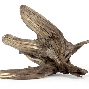 13 Manzanita Base With Roots, Aquarium Wood, Terrarium Tank Decor ...
