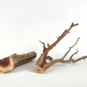 Manzanita Driftwood Branch 810, Set of 2, Small Driftwood, Small Fish ...