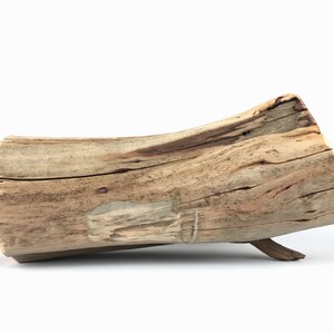 12 Manzanita Stump, Aquarium Wood Centerpiece, Reptile Wood, Paludarium ...