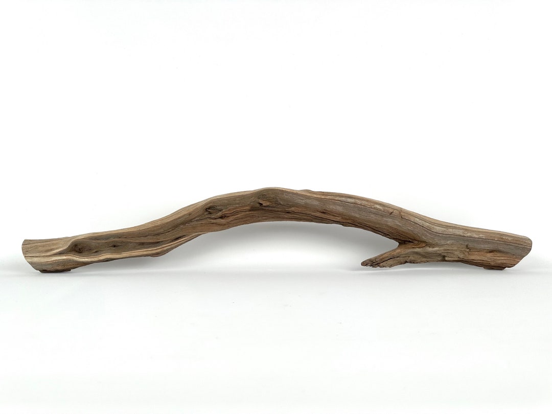 Manzanita 33 Branch, Vivarium Climb, Reptile Terrarium Enrichment ...