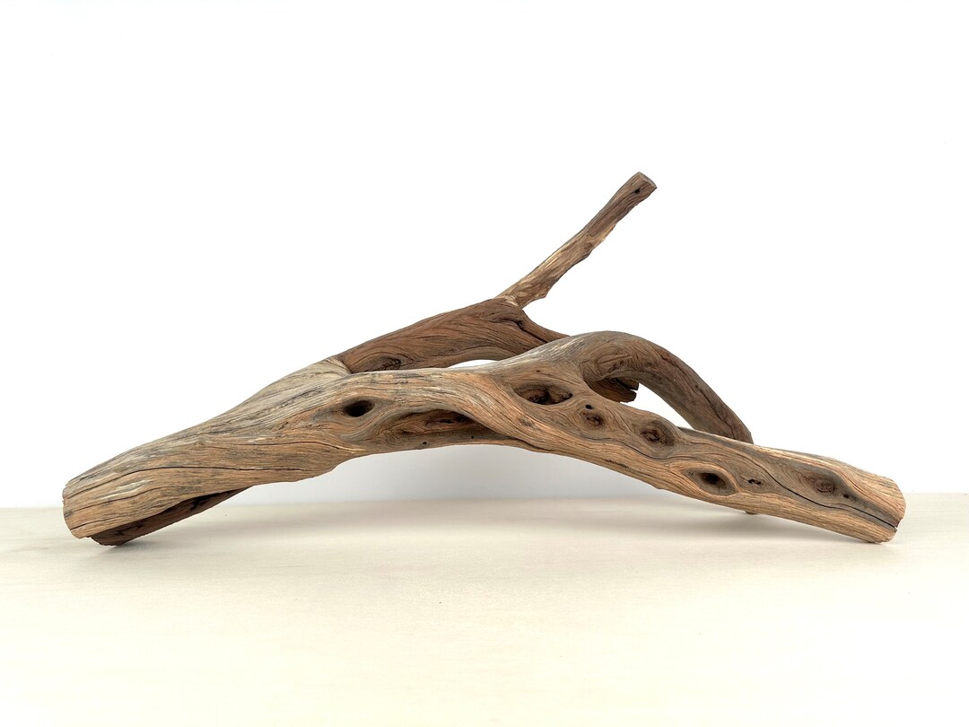 Manzanita 26 Branch, Large Aquarium Driftwood, Reptile Terrarium Climb ...