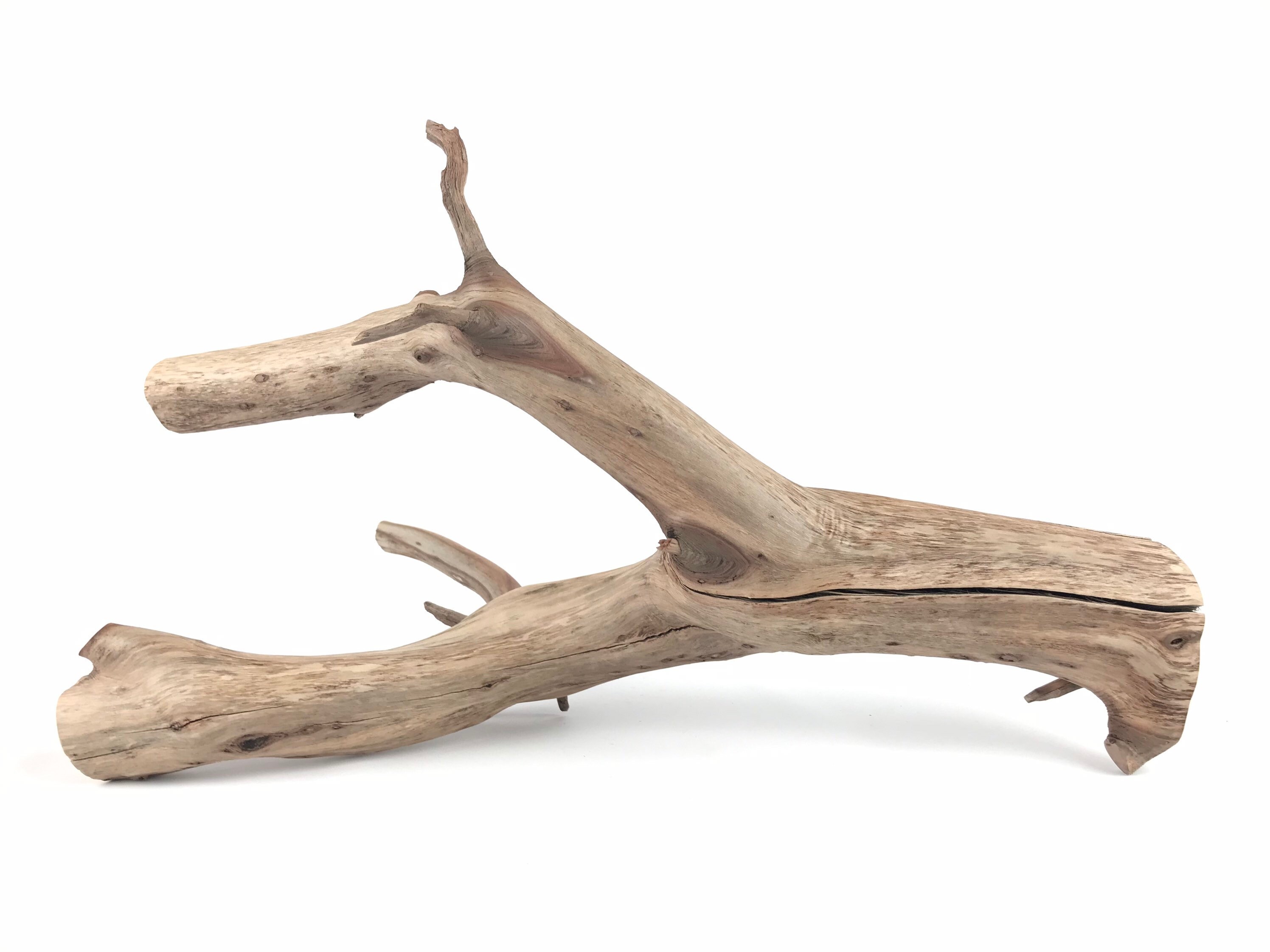 18 Manzanita Branch Reptile Wood Aquascape Wood Air - Etsy