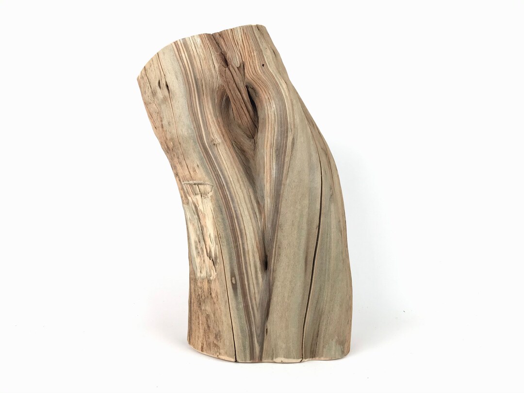 12 Manzanita Stump, Aquarium Wood Centerpiece, Reptile Wood, Paludarium ...