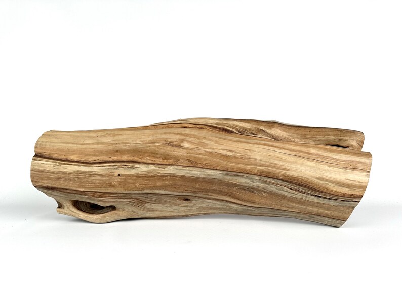 20 Manzanita Log Aquarium Wood Reptile Wood Terrarium - Etsy