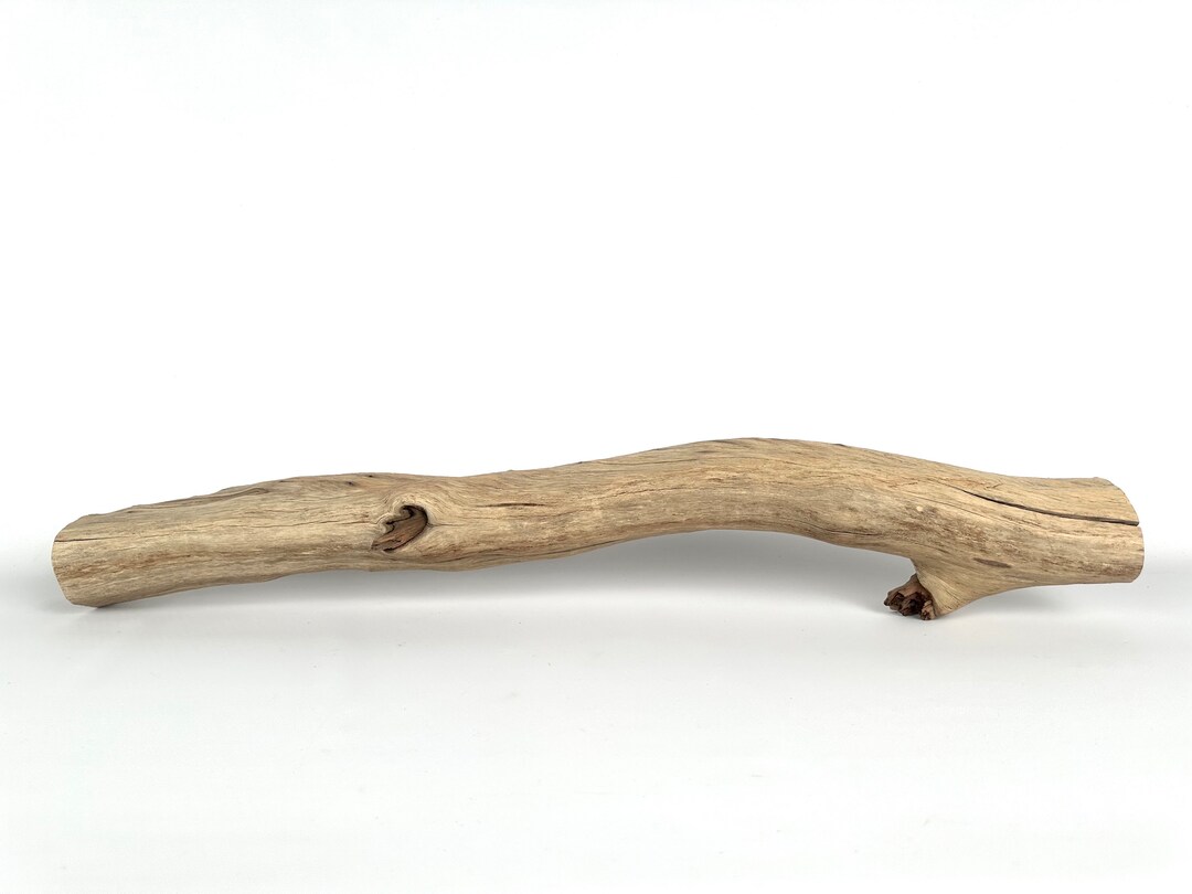 30 Manzanita Wood, Reptile Branch, Reptile Terrarium Climb, Driftwood ...