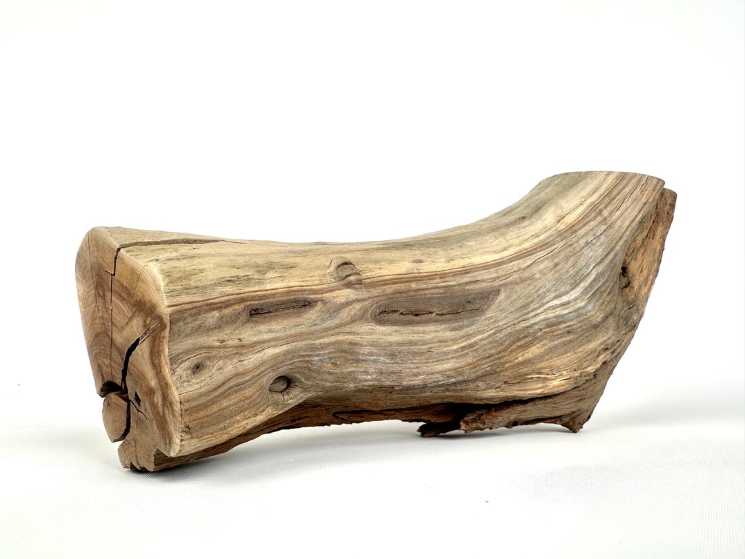 11 Manzanita Wood, Reptile Wood, Terrarium Wood, Aquarium Decor ...