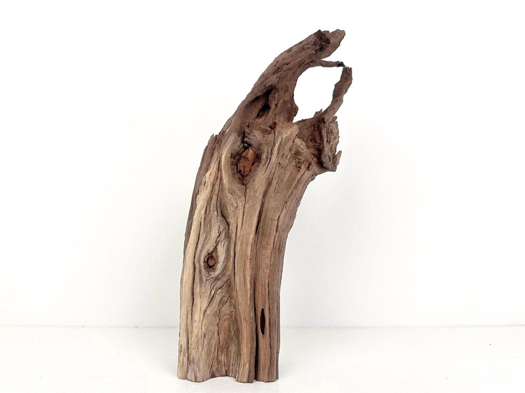 13 Inch Manzanita Aquarium Driftwood | Terrarium Base Wood Decoration ...