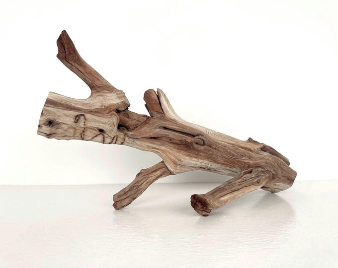 16" Manzanita Branch, Aquarium Wood Centerpiece, Aquarium Aquascape ...