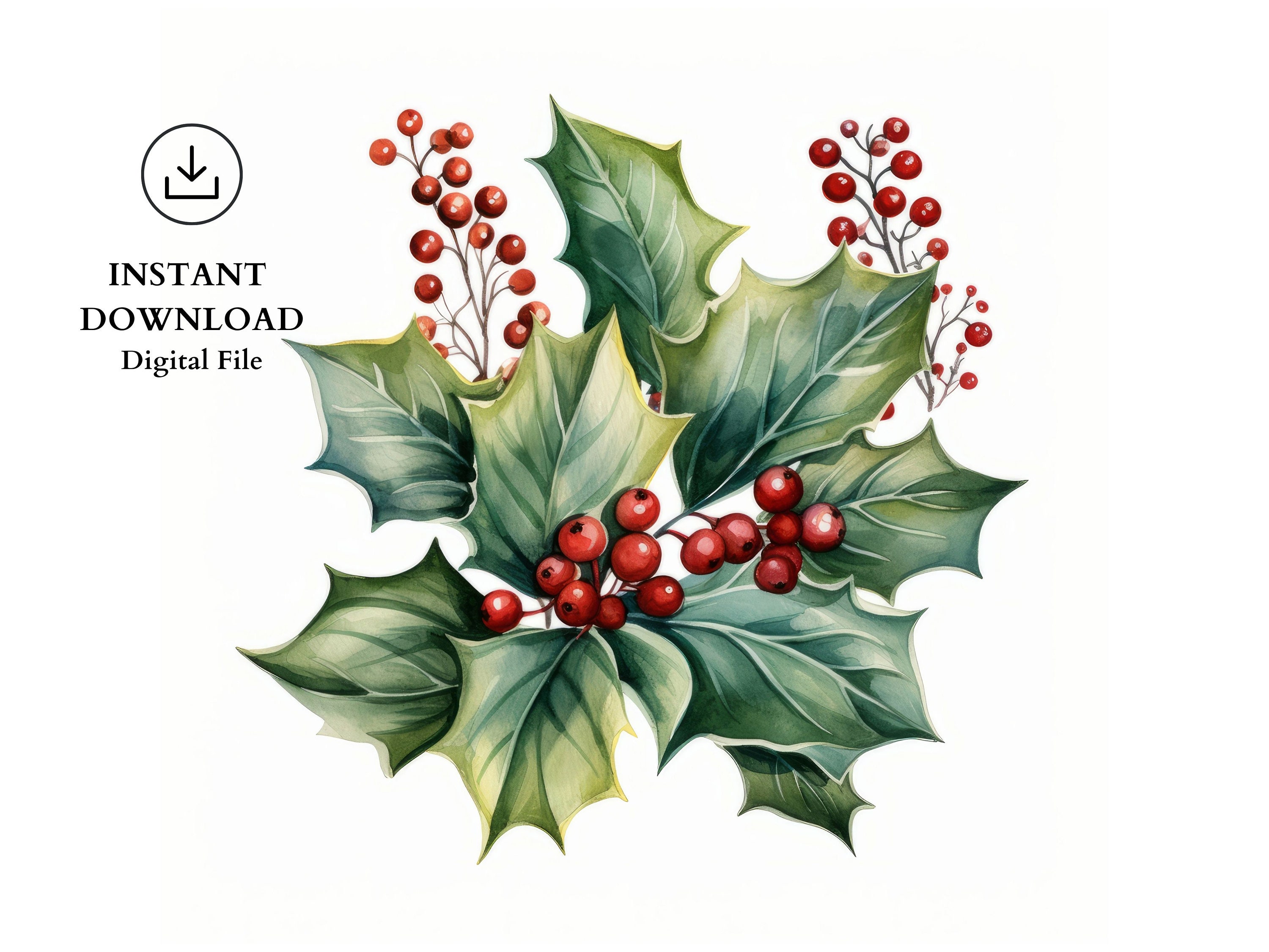 Instant Download: Boho Holly Watercolor Painting Festive, Seasonal Art ...