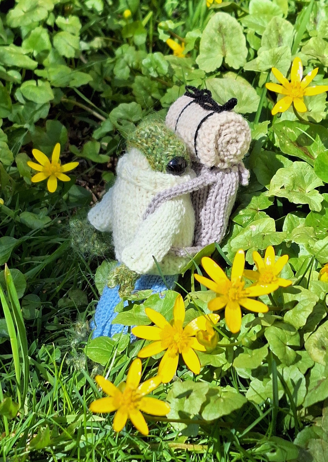 Hiking/camping in the Outdoors Handmade Knit Frog, With Sweater ...