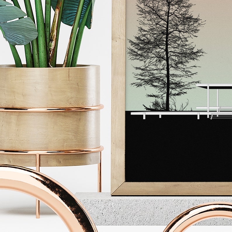 Farnsworth House Architecture Art Print Graphic Illustration - Etsy