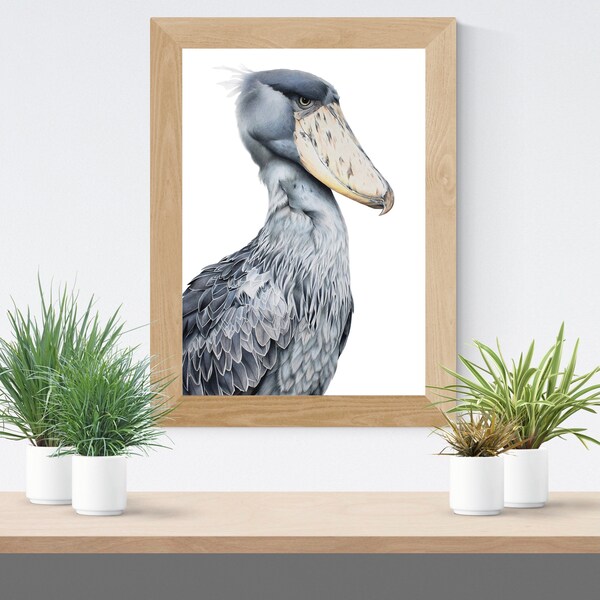 Shoebill Art - Etsy