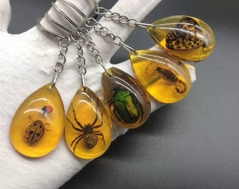 Resin Insect Key Chain - Etsy