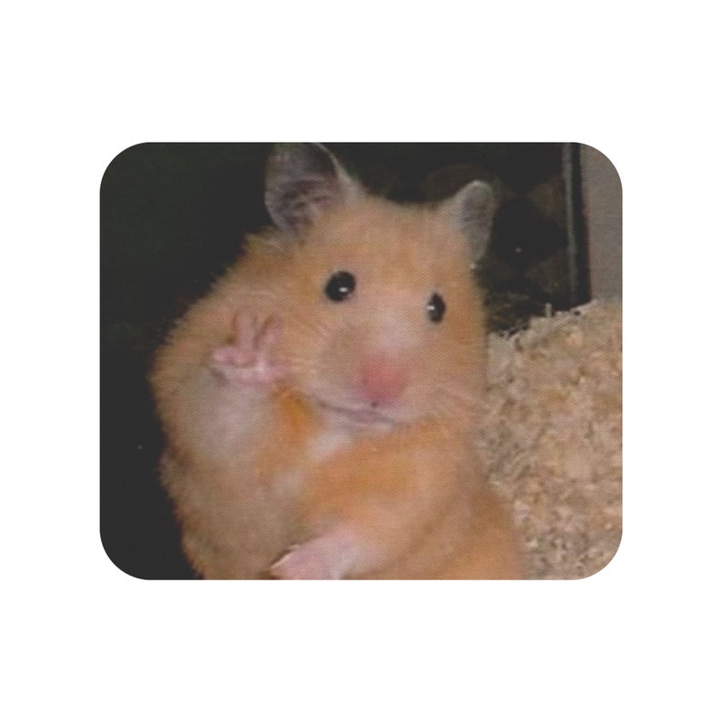 Funny Hamster Meme Mousepad PFO cute Mousepad-funny Gift-cute Mousepad ...