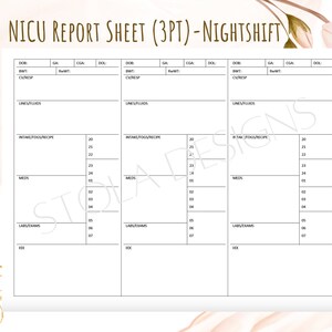 NICU Report Sheet - 3 Patients - Etsy
