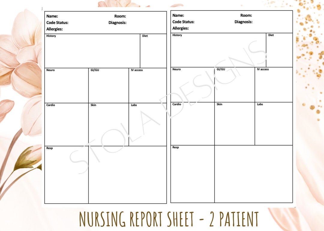 Nursing Report Sheet - 2 Patients - Etsy