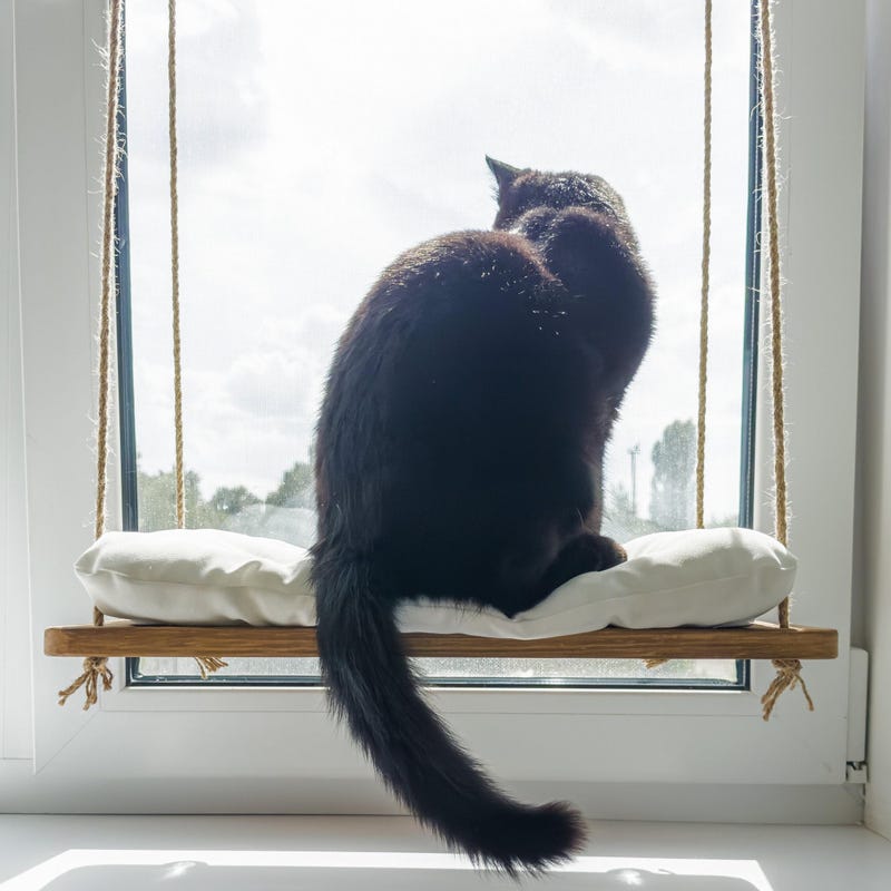 Cat Window Perch - Etsy