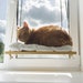 Cat Window Bed, Wood Cat Furniture, Perfect Cat Bed for Window, Best ...