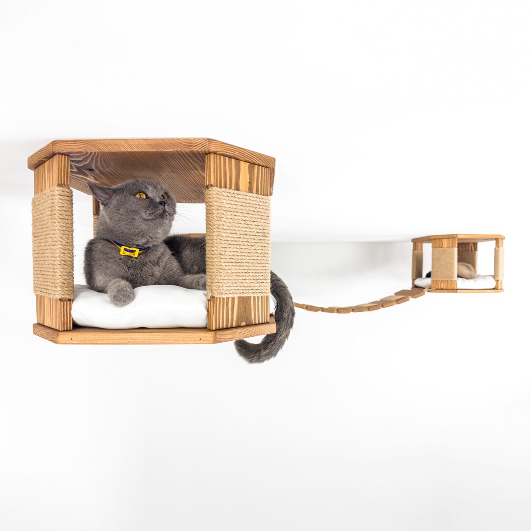 Ceiling Cat Funiture Set With Ceiling Bridge and Kitten Bed House Cat ...