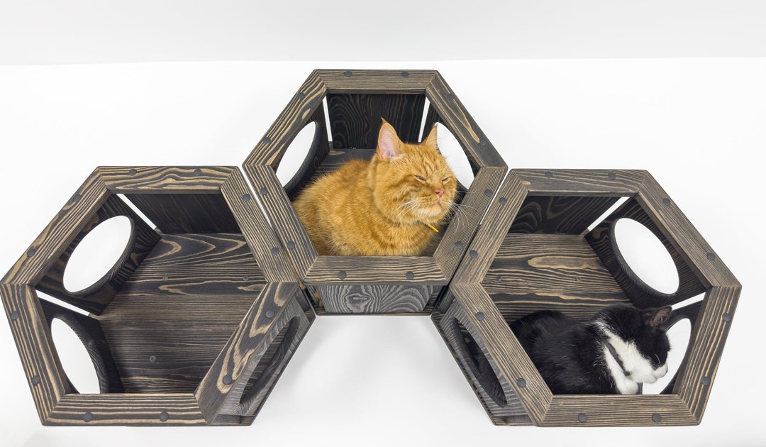 Cat Wall Furniture Hexagon Cat Wall Furniture Set 3 Cat - Etsy