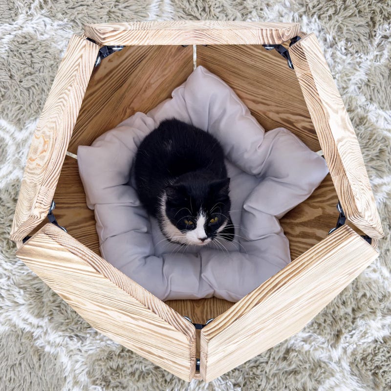 Geometric Cat - Etsy