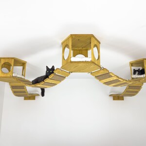 Cat Ceiling 3 Hexagon Shelves, Cat Floating Bridge for Wall, Ceiling ...