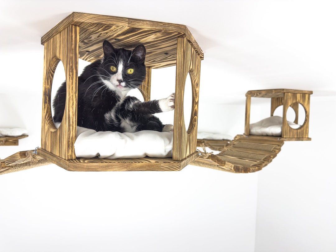 Cat Ceiling Shelves, Cat Wall Furniture, Cats Ceiling Set, Cat Wall ...