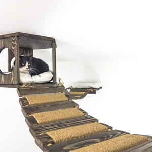 Cat Ceiling 3 Hexagon Shelves, Cat Floating Bridge for Wall, Ceiling ...