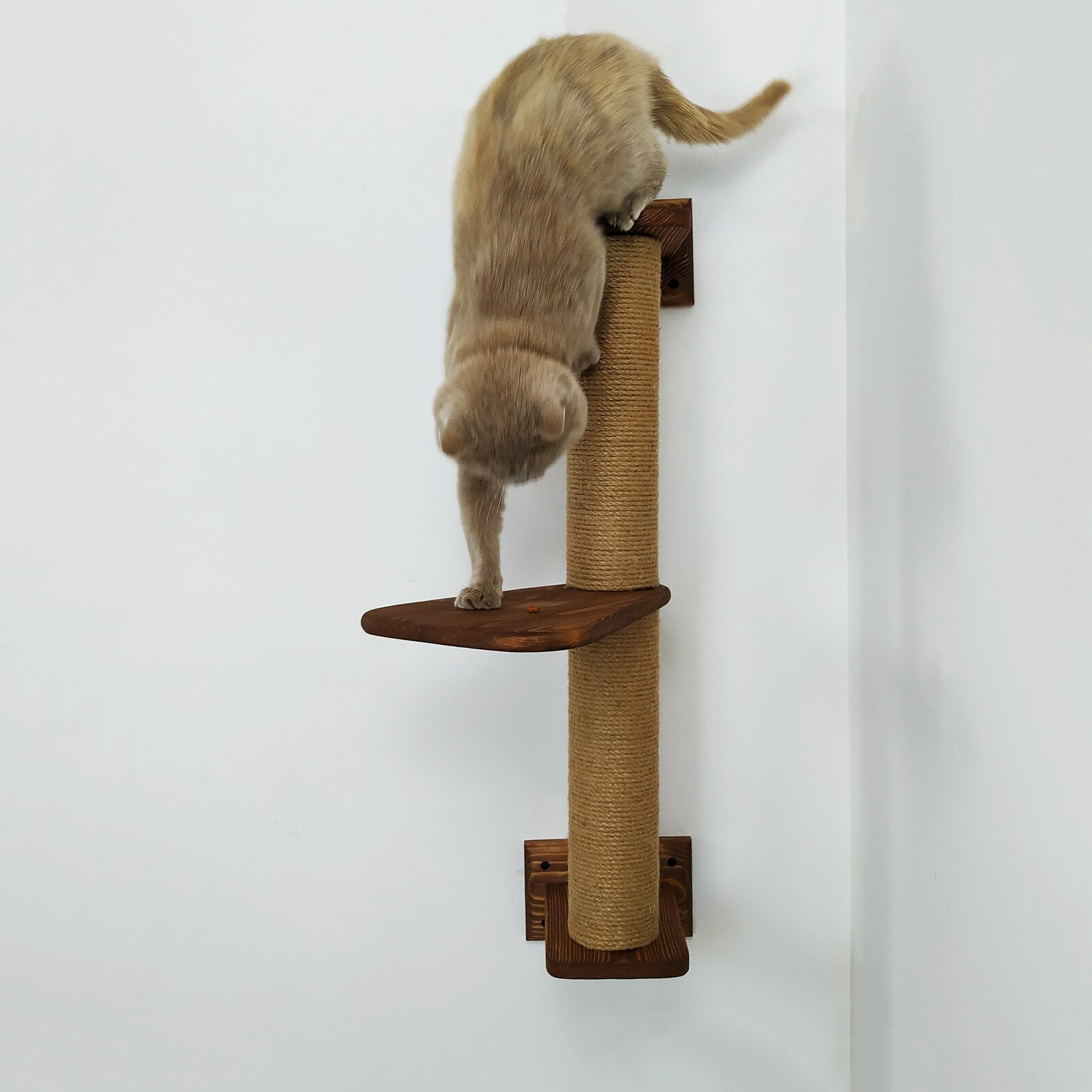 Scratcher Cat 2 Sections Cat Wall Furniture Cat Shelves Сat - Etsy