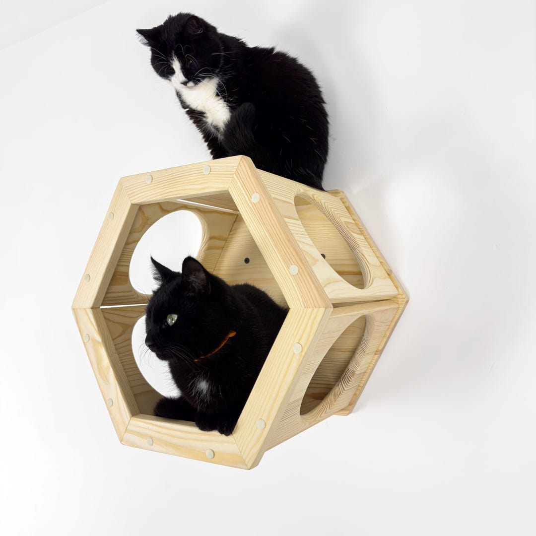 Cat Hexagon Perches, Cat Hexagon Bed, Cat Shelf, Stock in USA - Cat ...