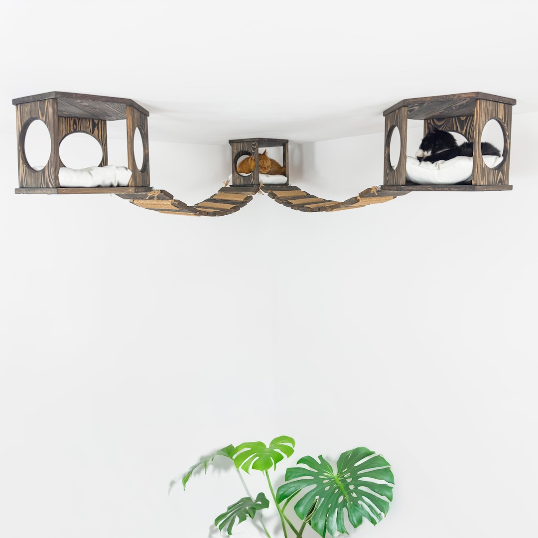 Ceiling Cat Furniture Wooden Ceiling Playground Set With Hexagong ...