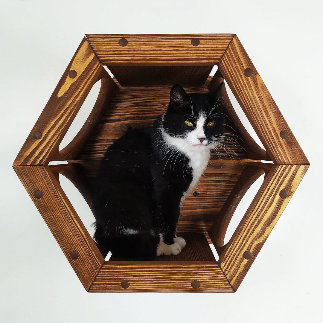 Cat Hexagon Perches, Cat Hexagon Bed, Cat Shelf, Stock in USA Cat Wall ...