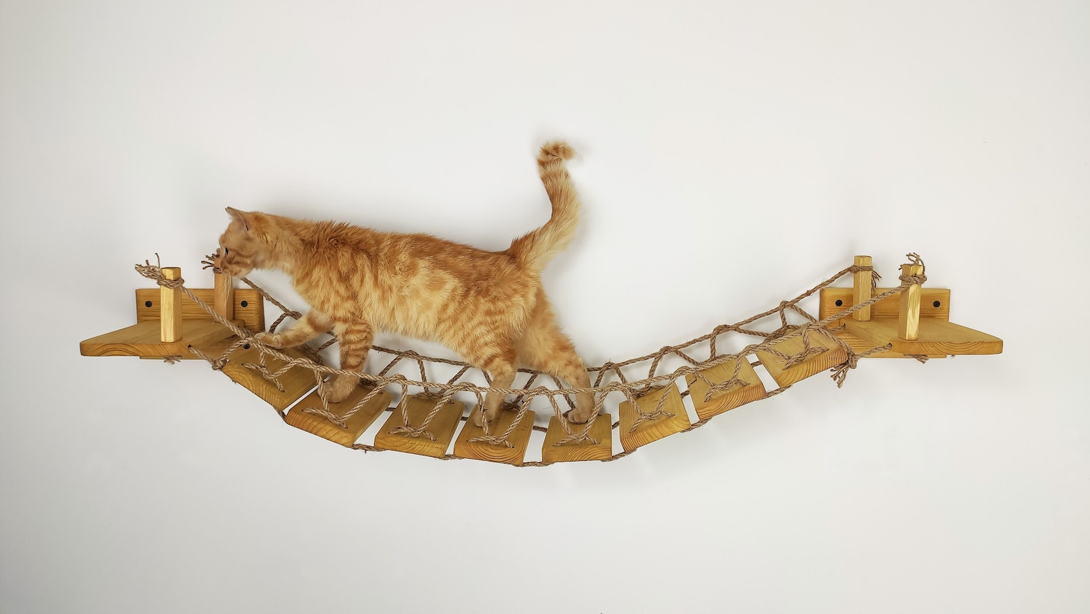 Light Cat Bridge for Wall Cat Bridge Cat Shelves Cat Ladder - Etsy