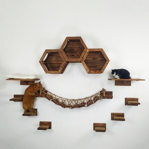 Cat Hexagon Wall Bed, Feeder Wall Cat, Cat Wall Furniture Set, Cat ...