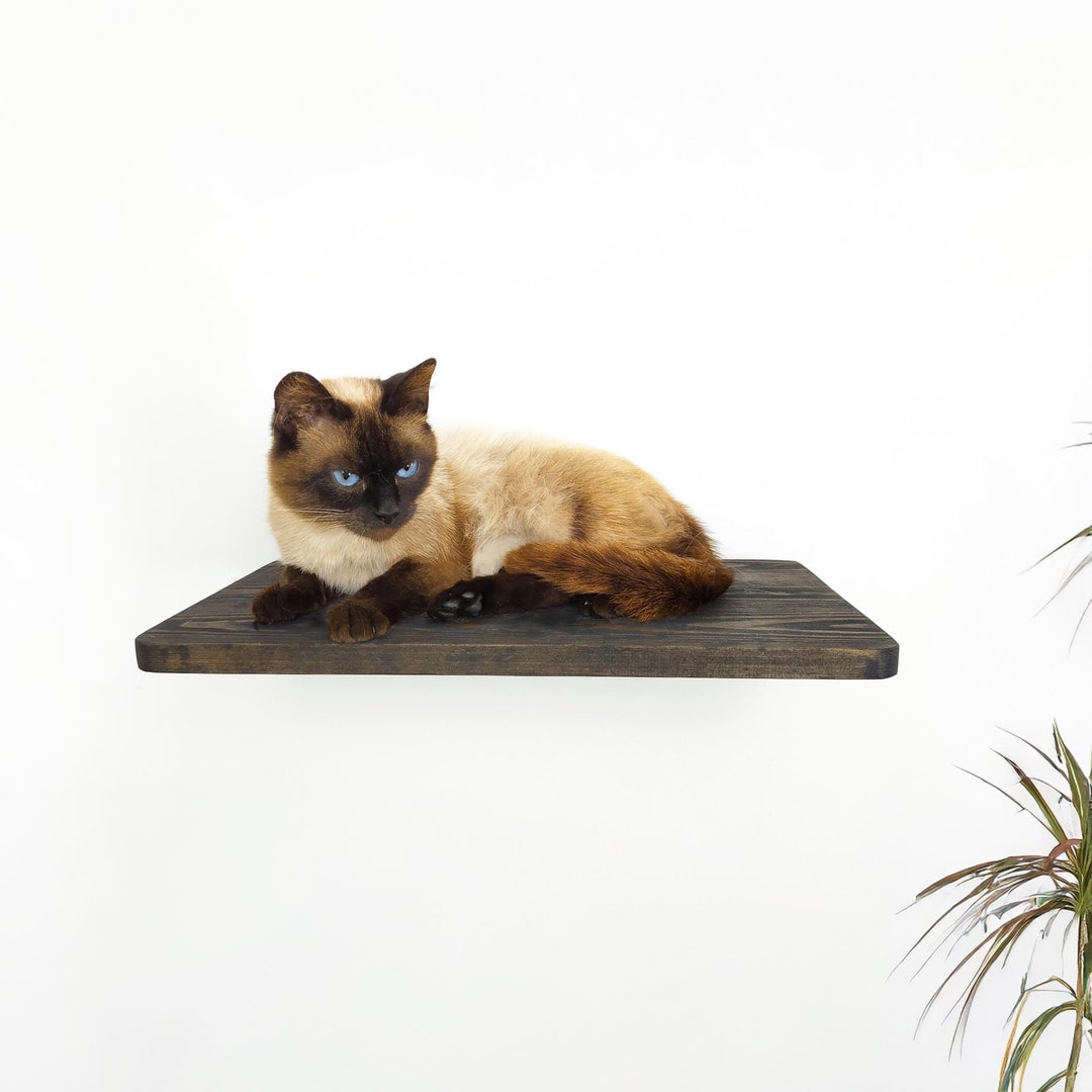 Cat Shelves for Wall Wooden Wall Mounted Cat Bed Kitten Shelf Kitten ...