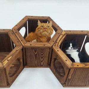 Cat Hexagon Wall Bed, Feeder Wall Cat, Cat Wall Furniture Set, Cat ...
