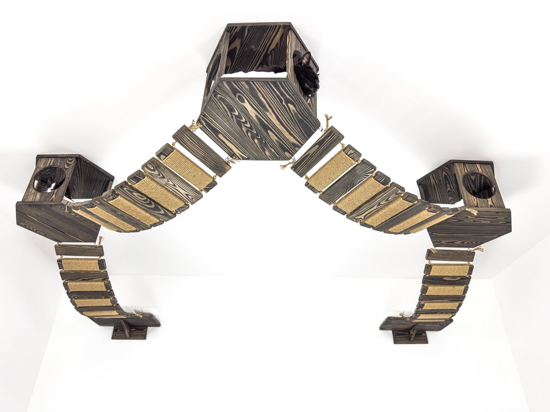 Cat Ceiling 3 Hexagon Shelves, Cat Floating Bridge for Wall, Ceiling ...