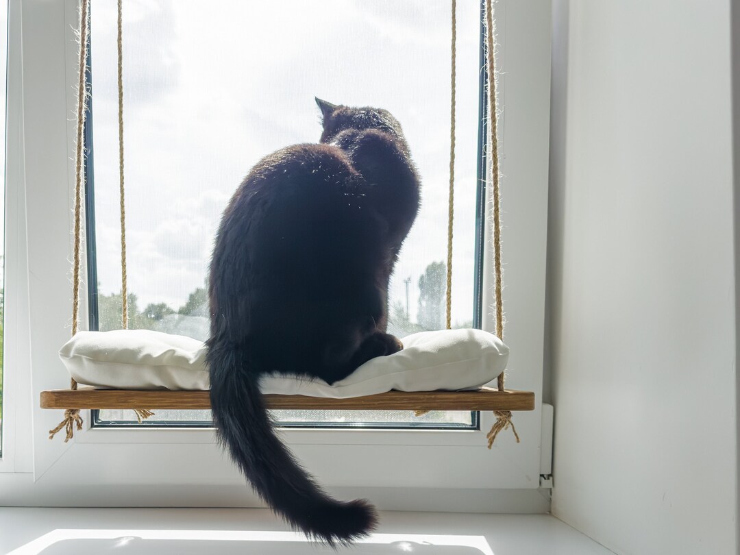 Cat Window Furniture,window Seat for Cats, Window Perch for Cat ...