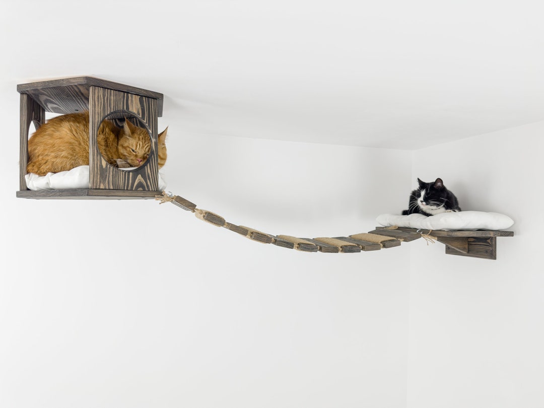 Cat Ceiling Furniture Set of Wood Cat Bridge, Cat Wall Bed, Wall and ...