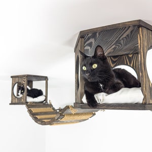Cat Ceiling 3 Hexagon Shelves, Cat Floating Bridge for Wall, Ceiling ...